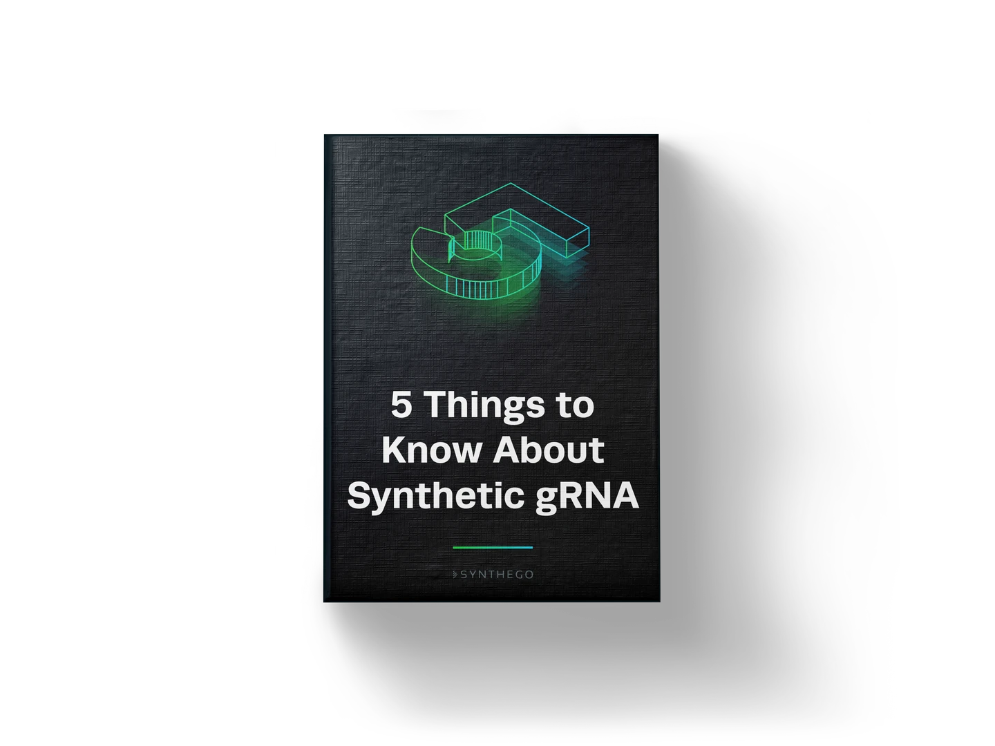 5 Things To Know About Synthetic Guide RNA