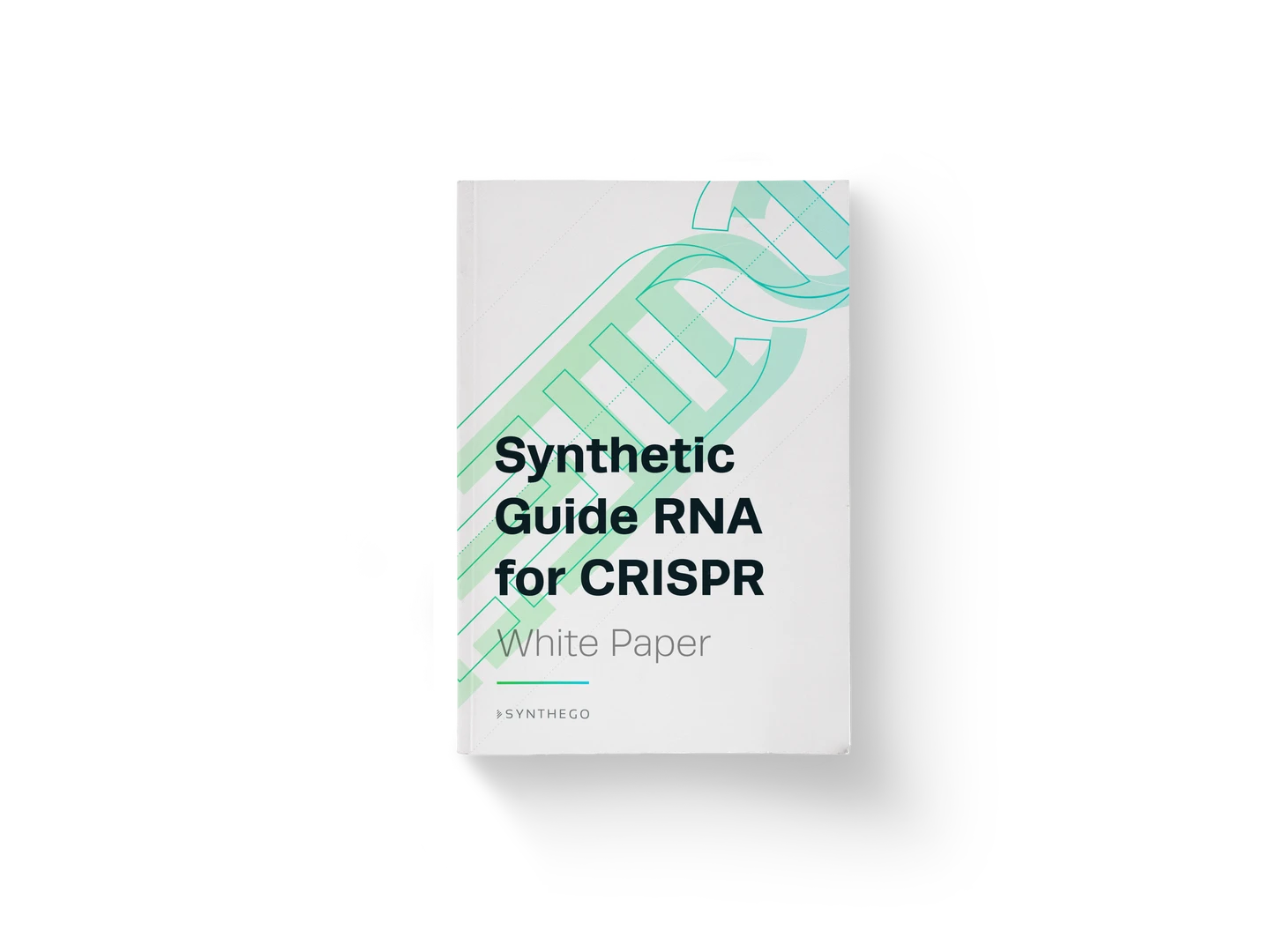 Synthetic Guide RNA for CRISPR